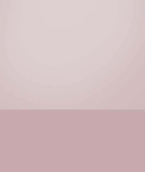 Specialty Products - Valeo Pharma